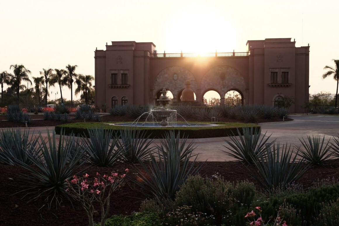 The Patrón difference: A look into what makes Patrón tequila excellence