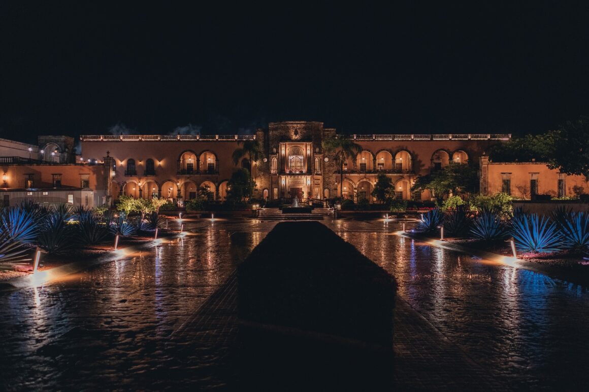 The Patrón difference: A look into what makes Patrón tequila excellence